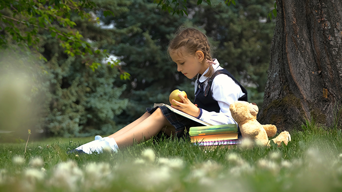 Environmental sustainability: a whole school approach | National ...