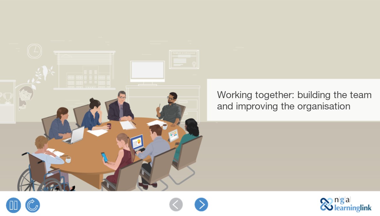 Working together: building the team and improving the organisation ...
